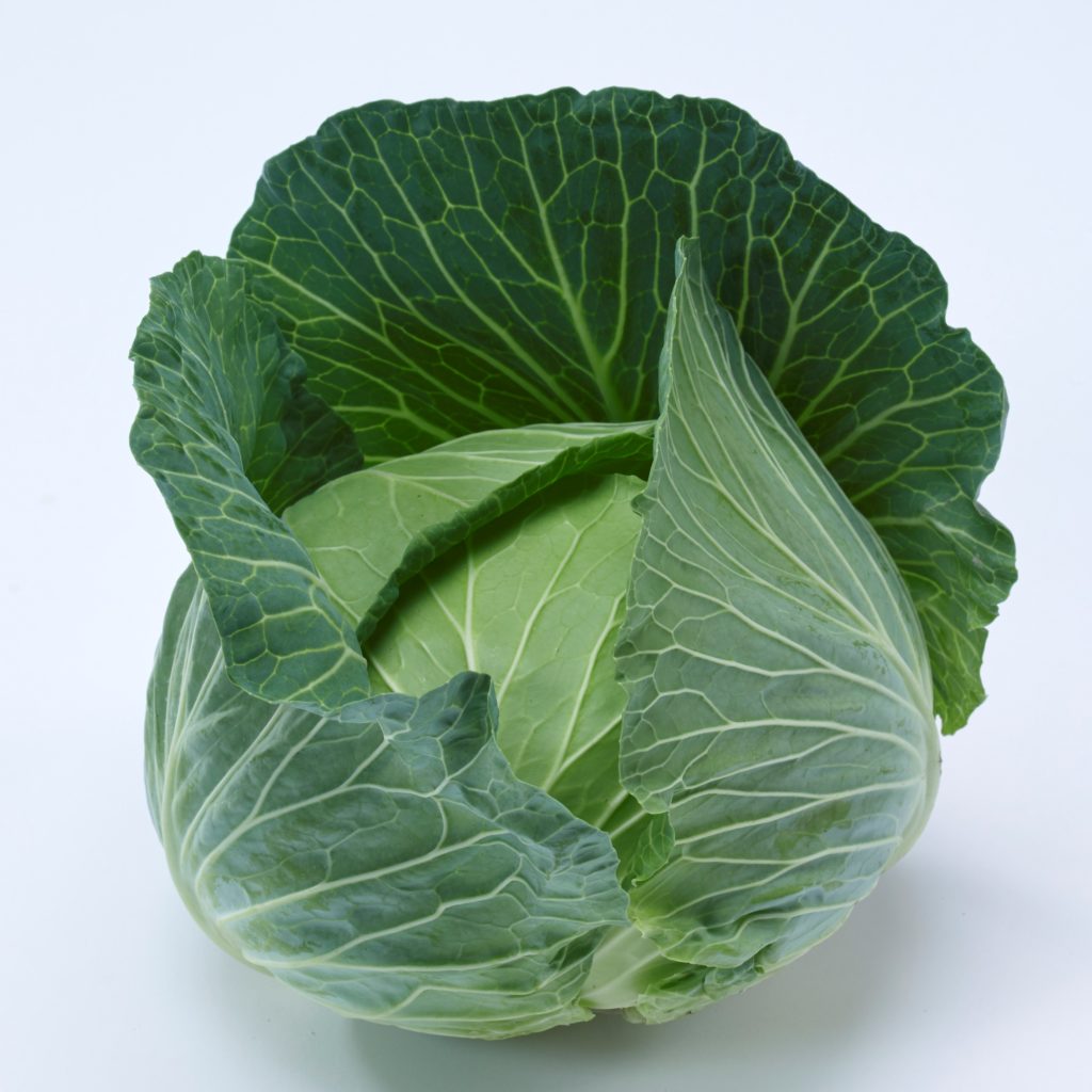 Cabbage Flat Archives - Wing Seed