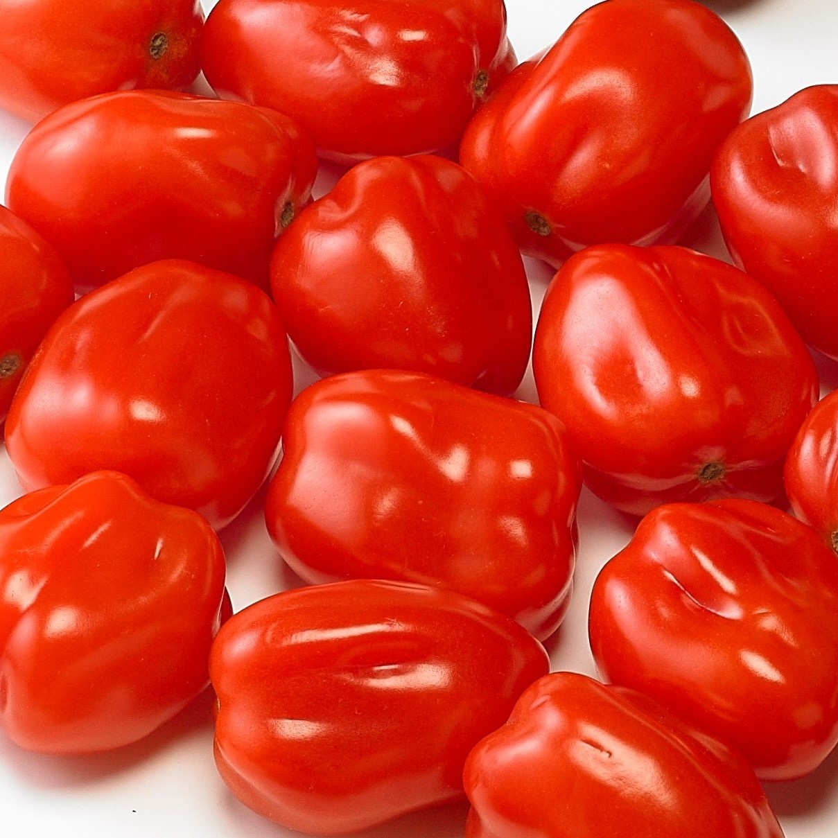 Tomato Snack Archives - Wing Seed