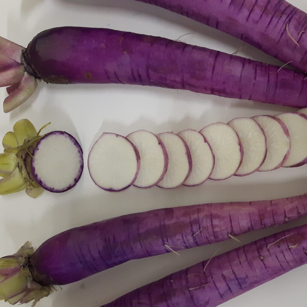 WS 1383 F1 - Wing Seed